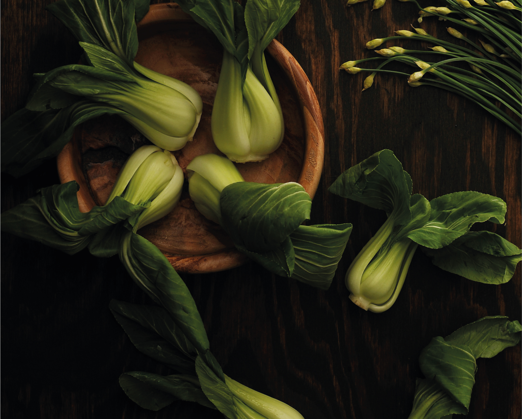 Natura Food - VIP Catering